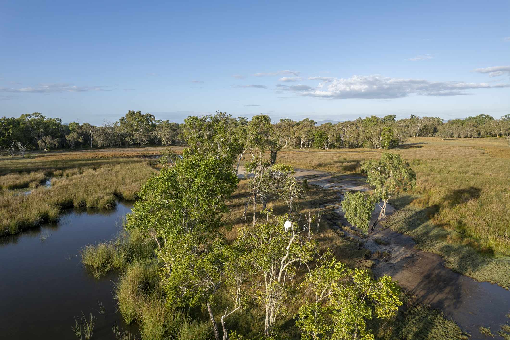 Hunting: A Primal Journey Back to Our Roots - The Wild Harvester